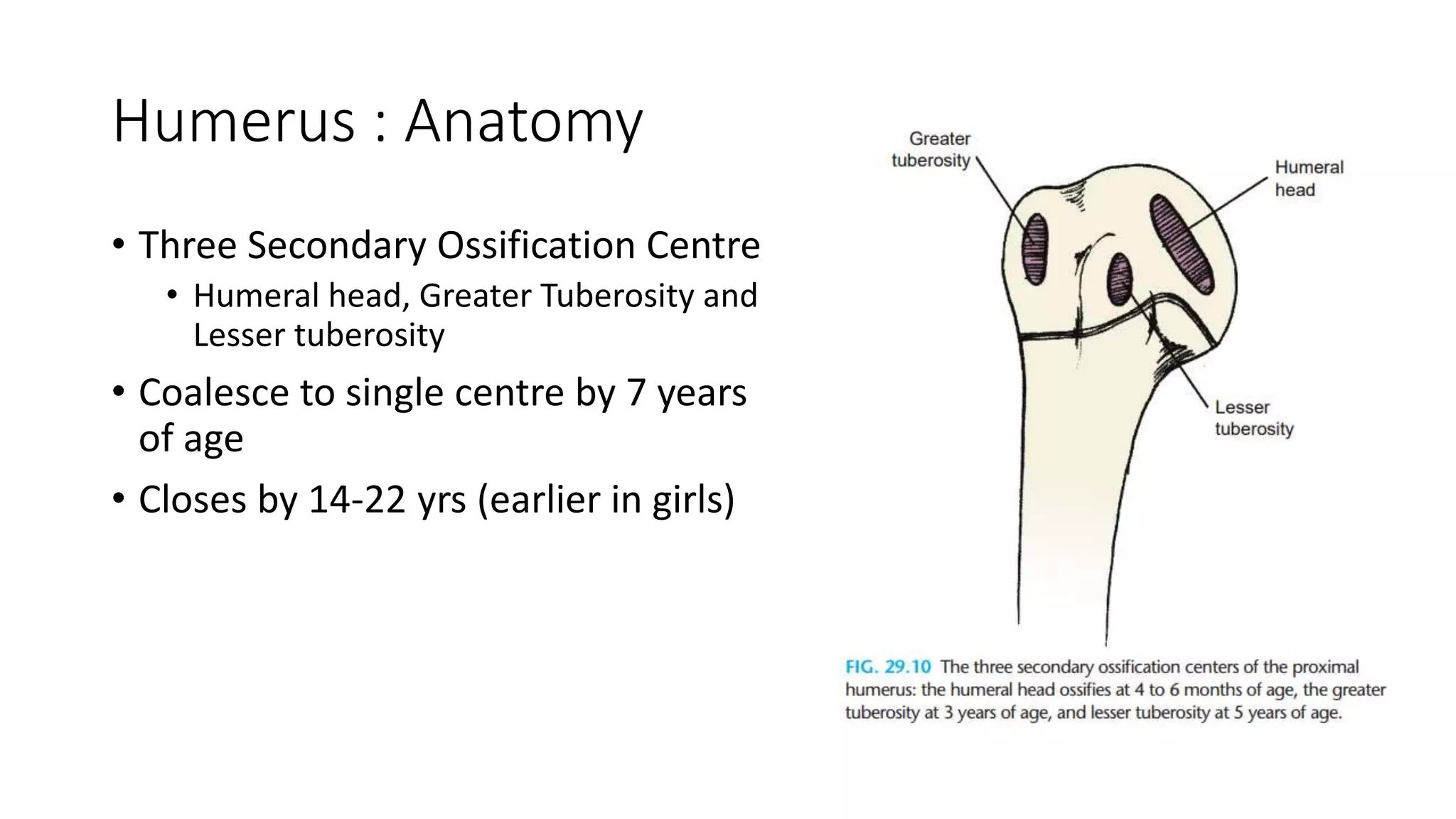 Pediatric Long Bone Fractures.pptx