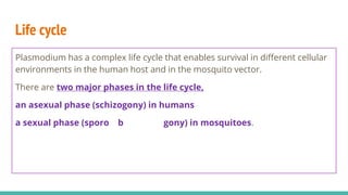 Pediatric malaria.pptx