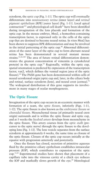 Pediatric Neuro-Ophthalmology.pdf