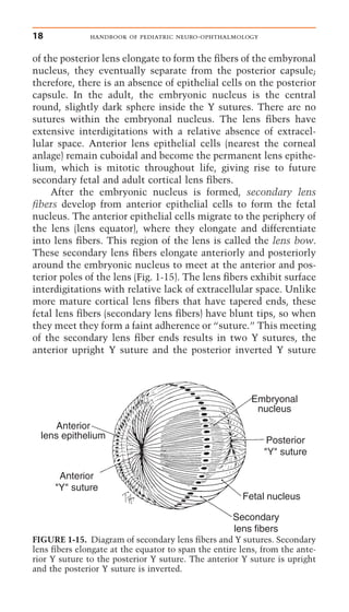 Pediatric Neuro-Ophthalmology.pdf
