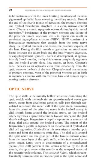 Pediatric Neuro-Ophthalmology.pdf