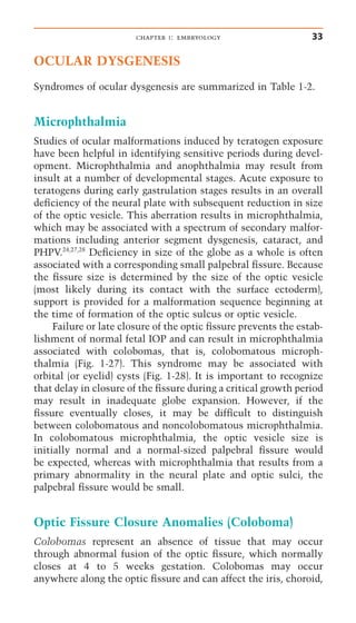 Pediatric Neuro-Ophthalmology.pdf