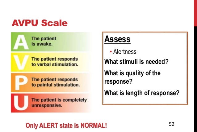 An overview of Intensive Care Units – Physio Newbies