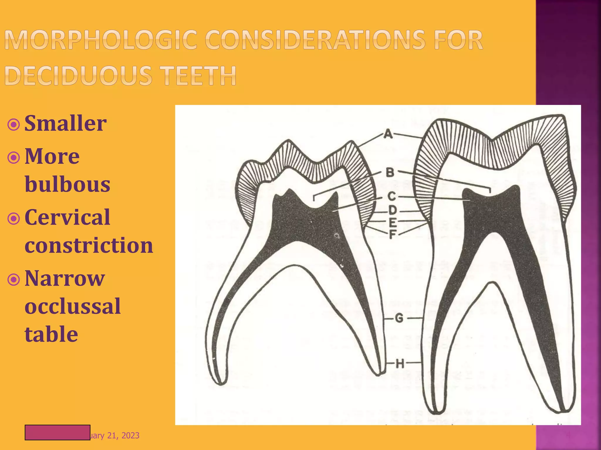 Pediatric Operative Dentistry.ppt