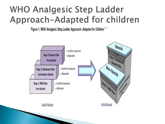 Pediatric palliative care | PPTX