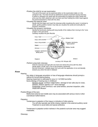 Pediatric Physical Examination Core Curriculum Appendices | PDF