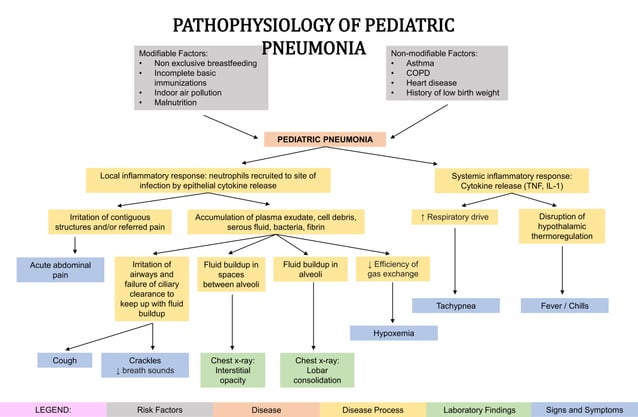 PEDIATRIC PNEUMONIA PATHO.pptx | Lung and Respiratory Health | Diseases and Conditions