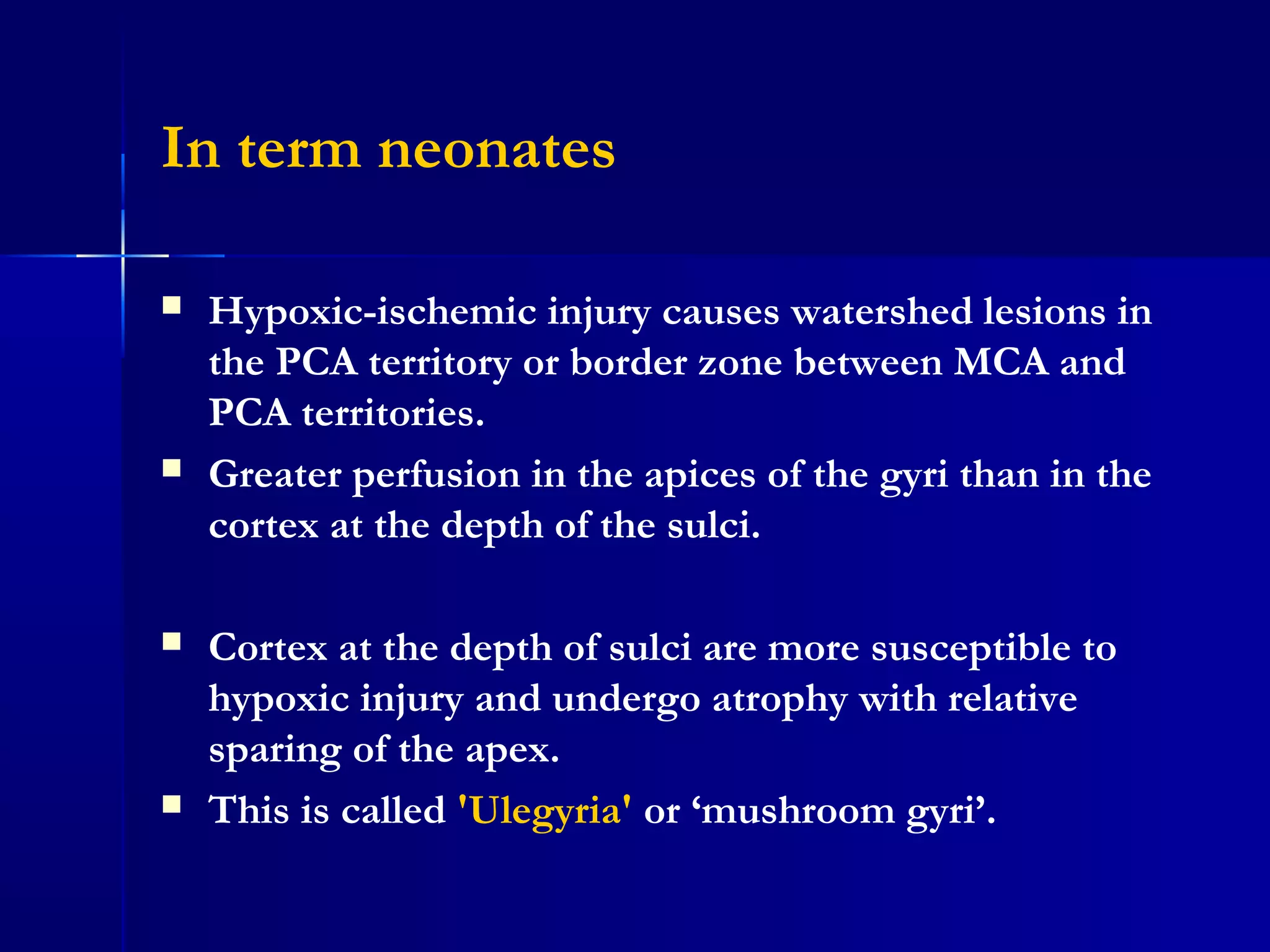 Pediatric posterior head region epilepsy | PPT