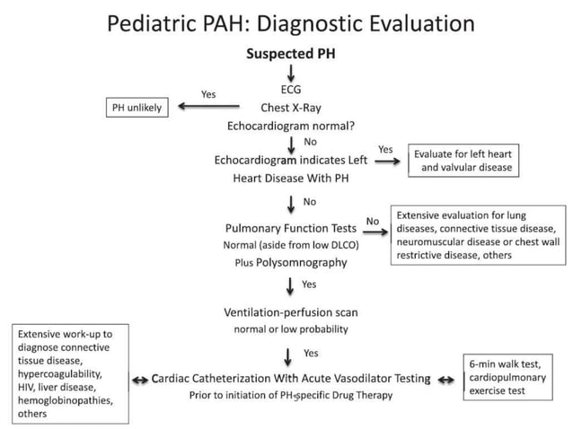Pediatric pulmonary hypertension | PPT