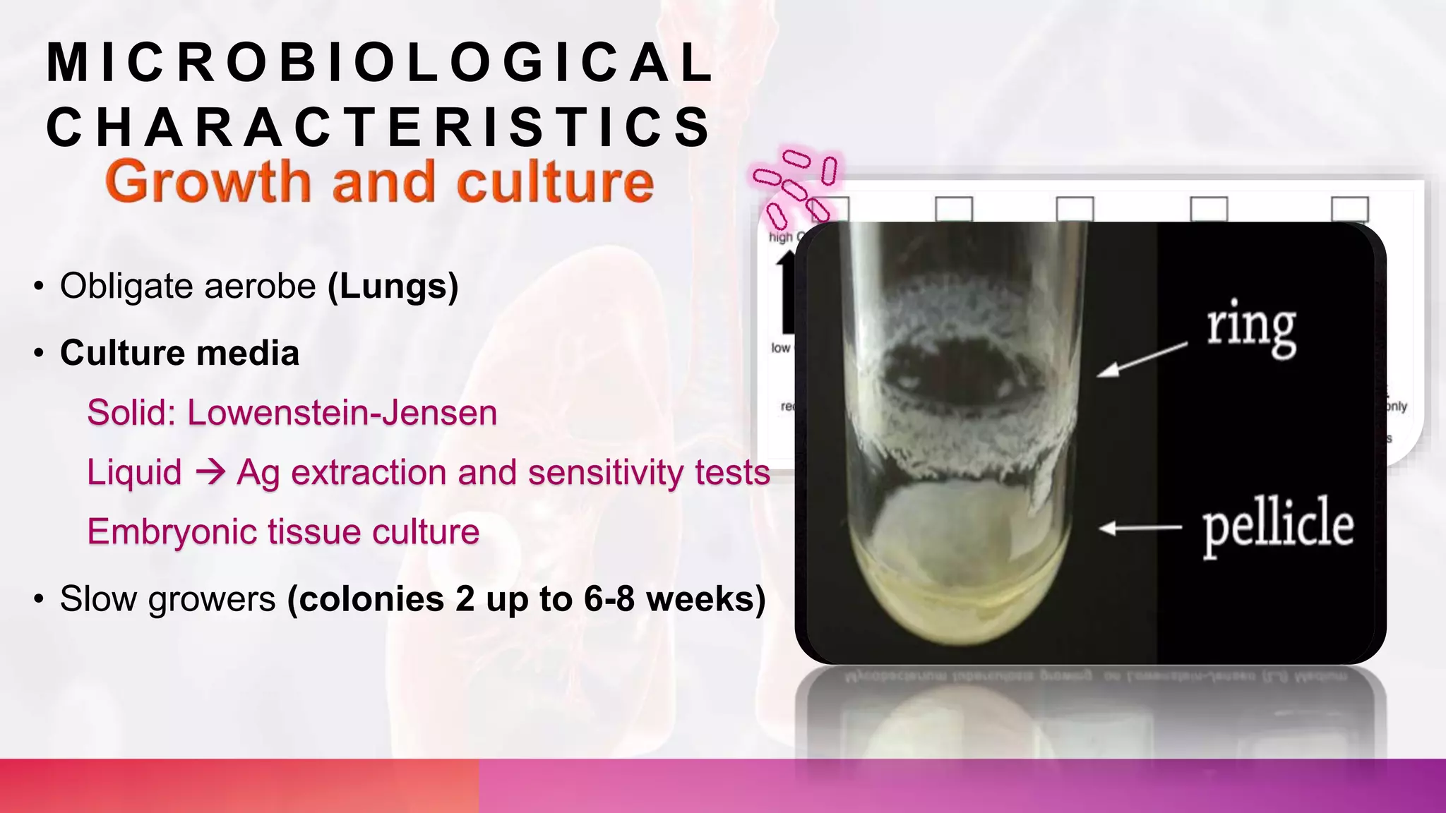 Pediatric Pulmonary Tuberculosis | PPTX