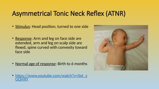 Expectd Pediatric Reflexes and Reactions | PPTX