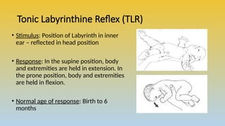 Expectd Pediatric Reflexes and Reactions | PPTX
