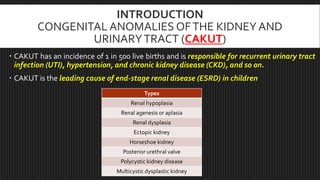 Pediatric renal cystic diseases | PPTX
