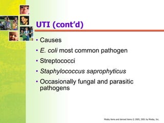 Pediatric Renal Disorders | PPT