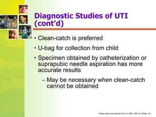 Pediatric Renal Disorders | PPT