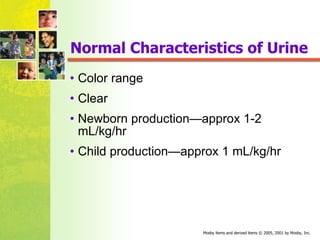 Pediatric Renal Disorders | PPT