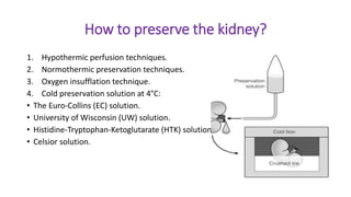Pediatric renal transplantation | PPTX