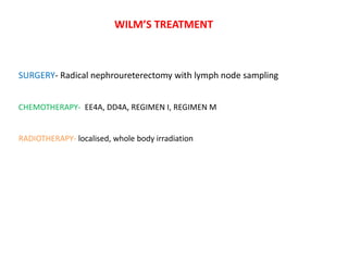 Pediatric renal tumors copy | PPTX