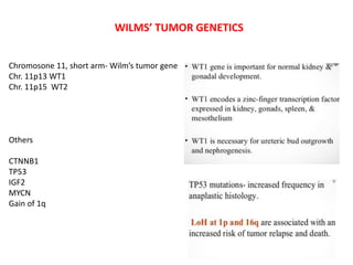 Pediatric renal tumors copy | PPT