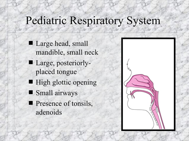Pediatric Resp Emergencies | PPT | Lung and Respiratory Health ...
