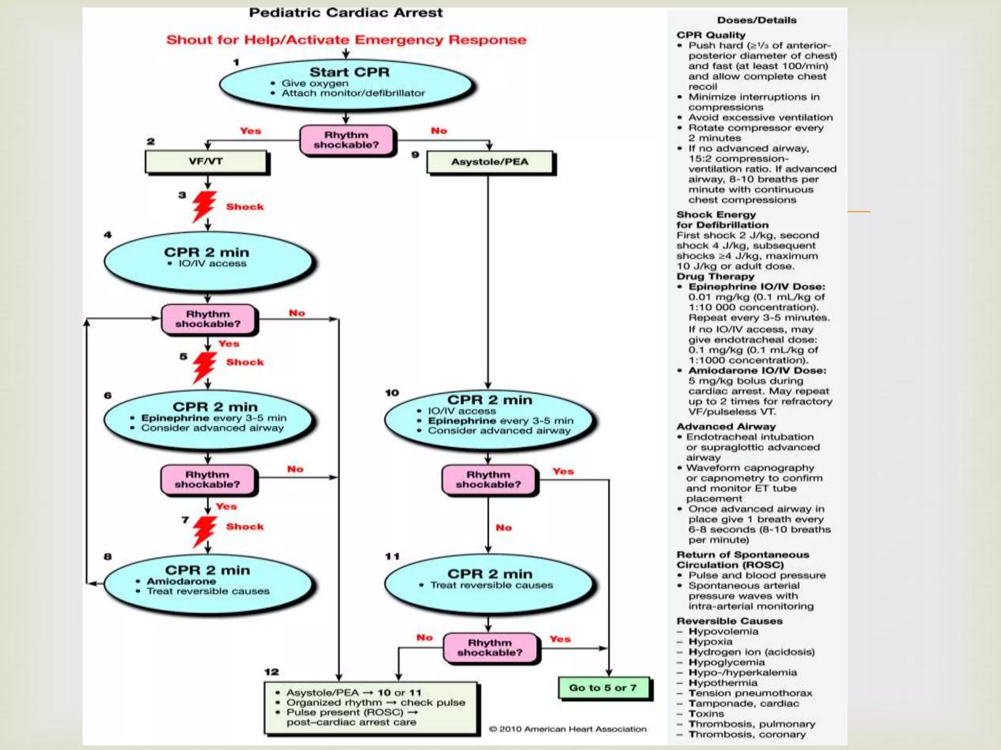 Pediatric resusitation | PPTX