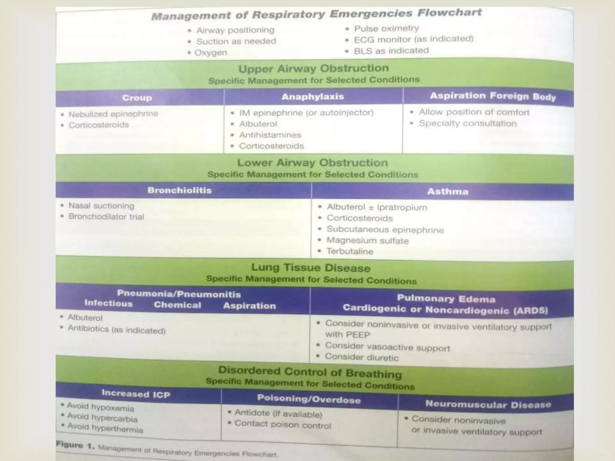 Pediatric resusitation | PPTX