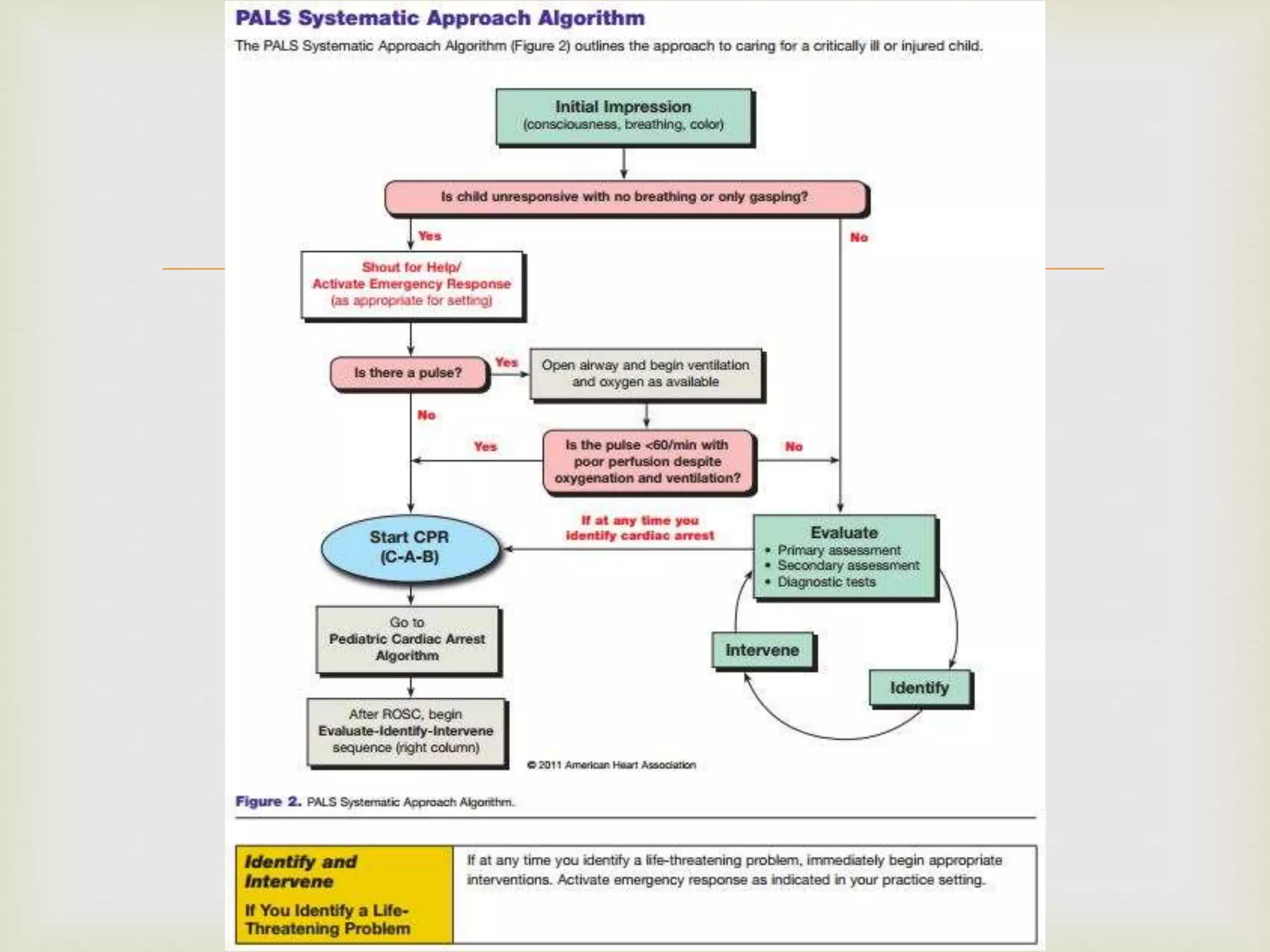 Pediatric resusitation | PPTX