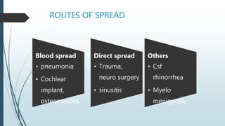 Acute central nervous system infection | PPT