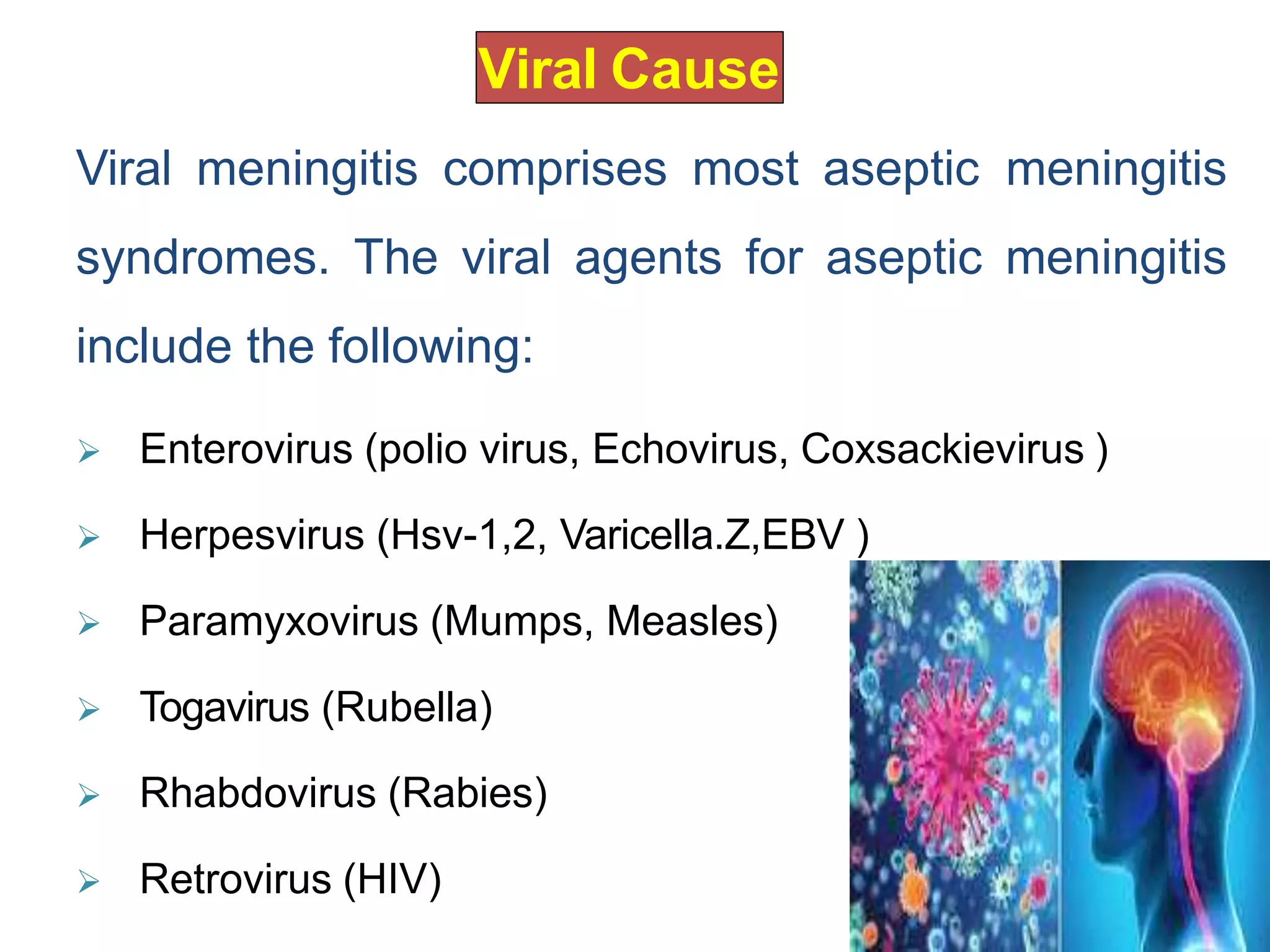 Review of Meningitis | PPTX