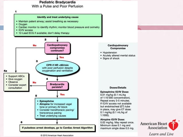 Pediatrics basic and advance life support | PPT