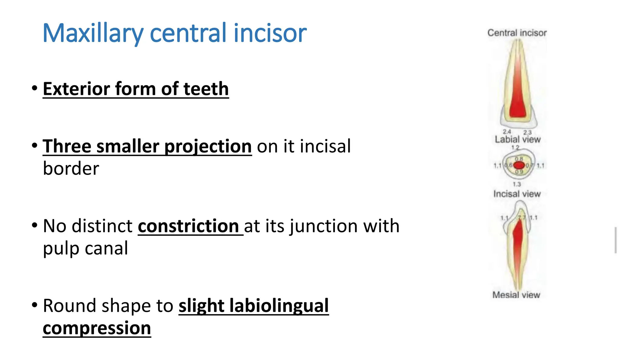 pediatrics dentistry.pptx(It is about pulp canal morphology of ...