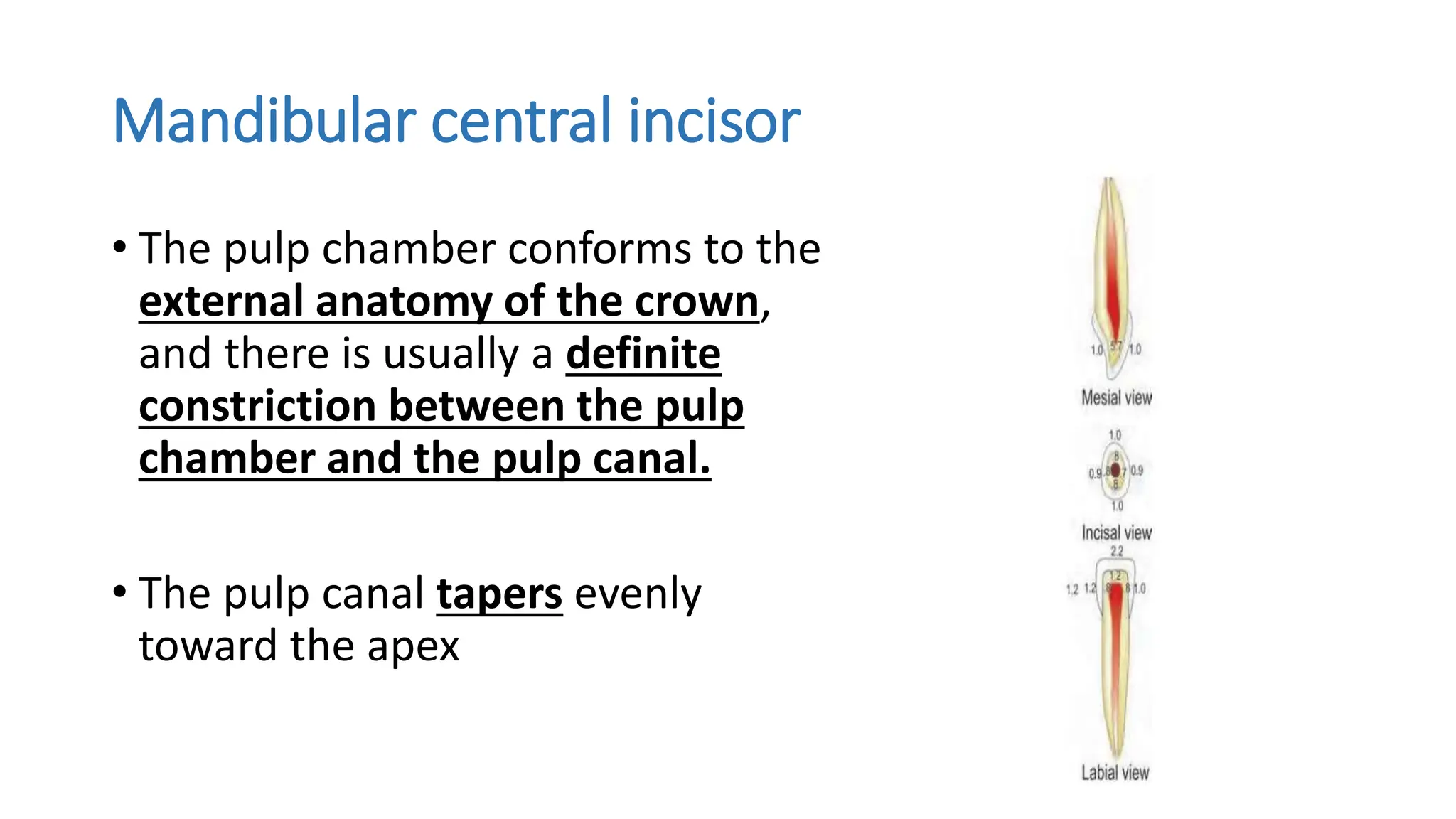 pediatrics dentistry.pptx(It is about pulp canal morphology of ...