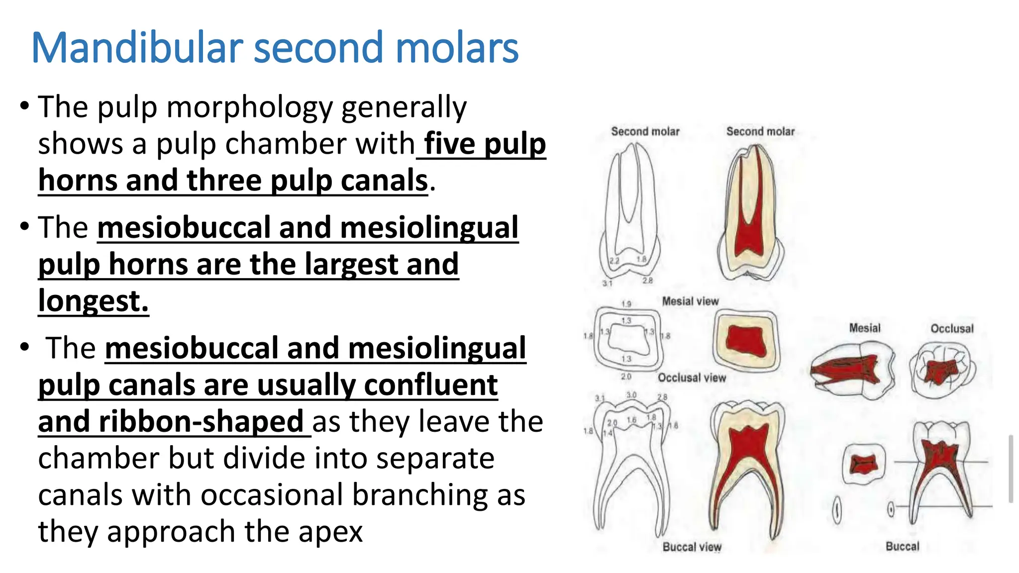 pediatrics dentistry.pptx(It is about pulp canal morphology of ...