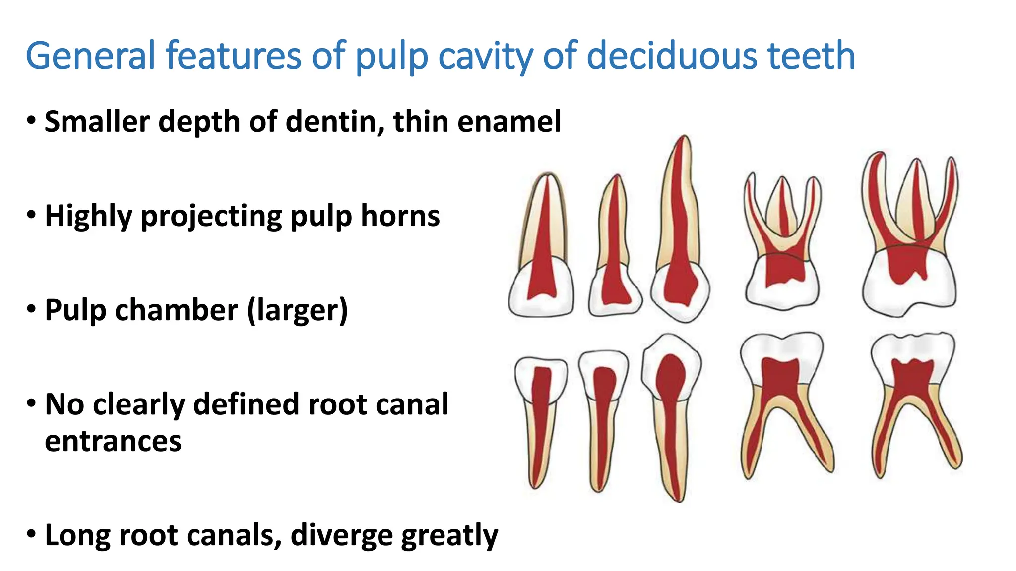 pediatrics dentistry.pptx(It is about pulp canal morphology of ...