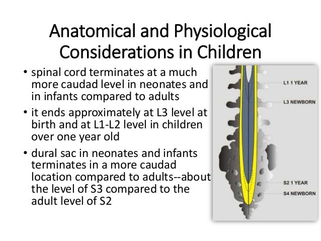 Pediatric spinal anaesthesia | PPTX