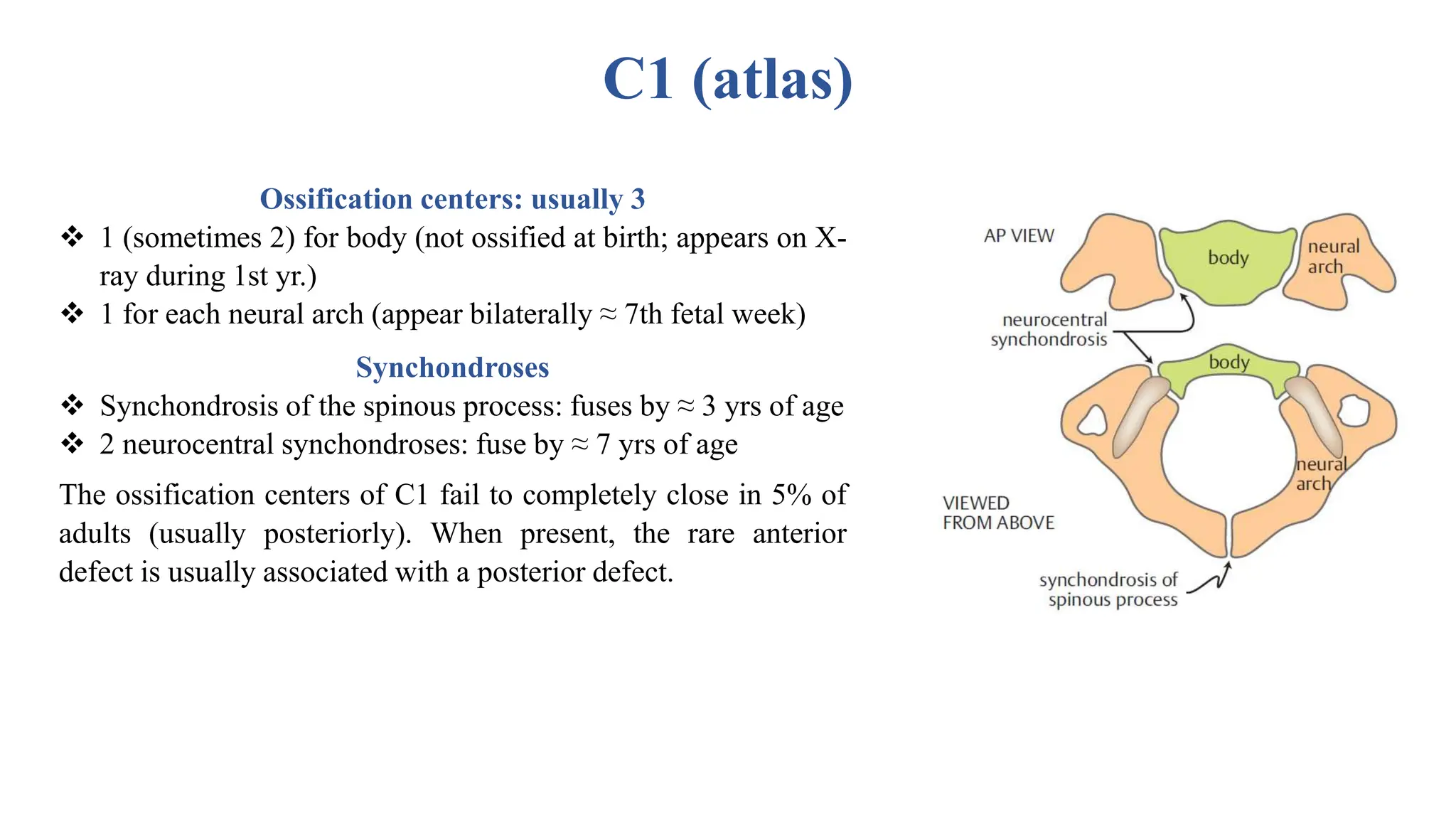 Pediatric spine injuries by Momen | PPTX