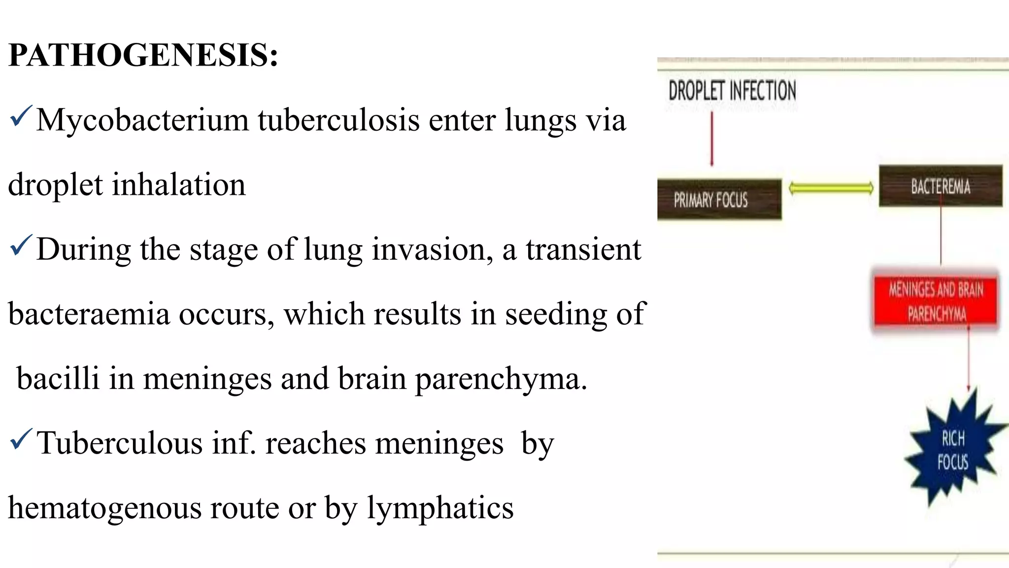 PATHOGENESIS AND CLINICAL FEATURES OF TB MENINGITIS | PPTX