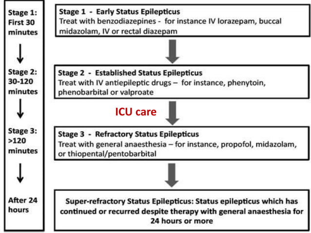 Pediatric status epilepticus | PPTX