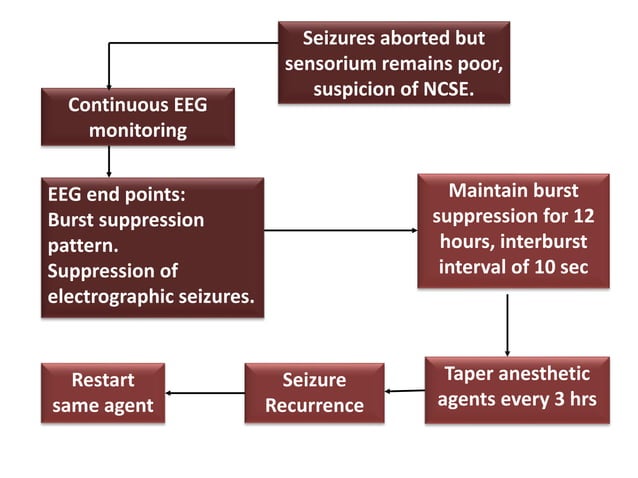 Pediatric status epilepticus | PPTX