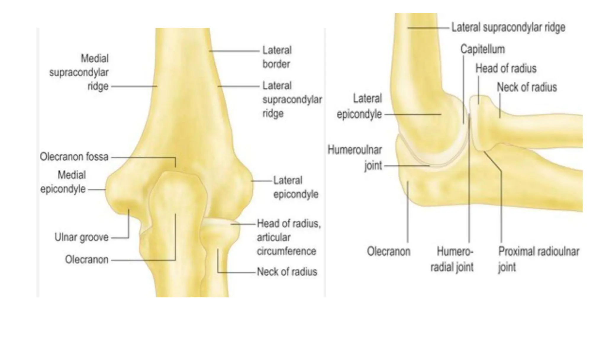 Pediatric supracondylar fjjractures.pptx