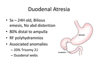 Pediatric surgery ABSITE | PPTX