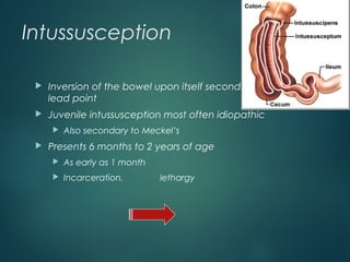 Pediatric surgical emergencies | PPT