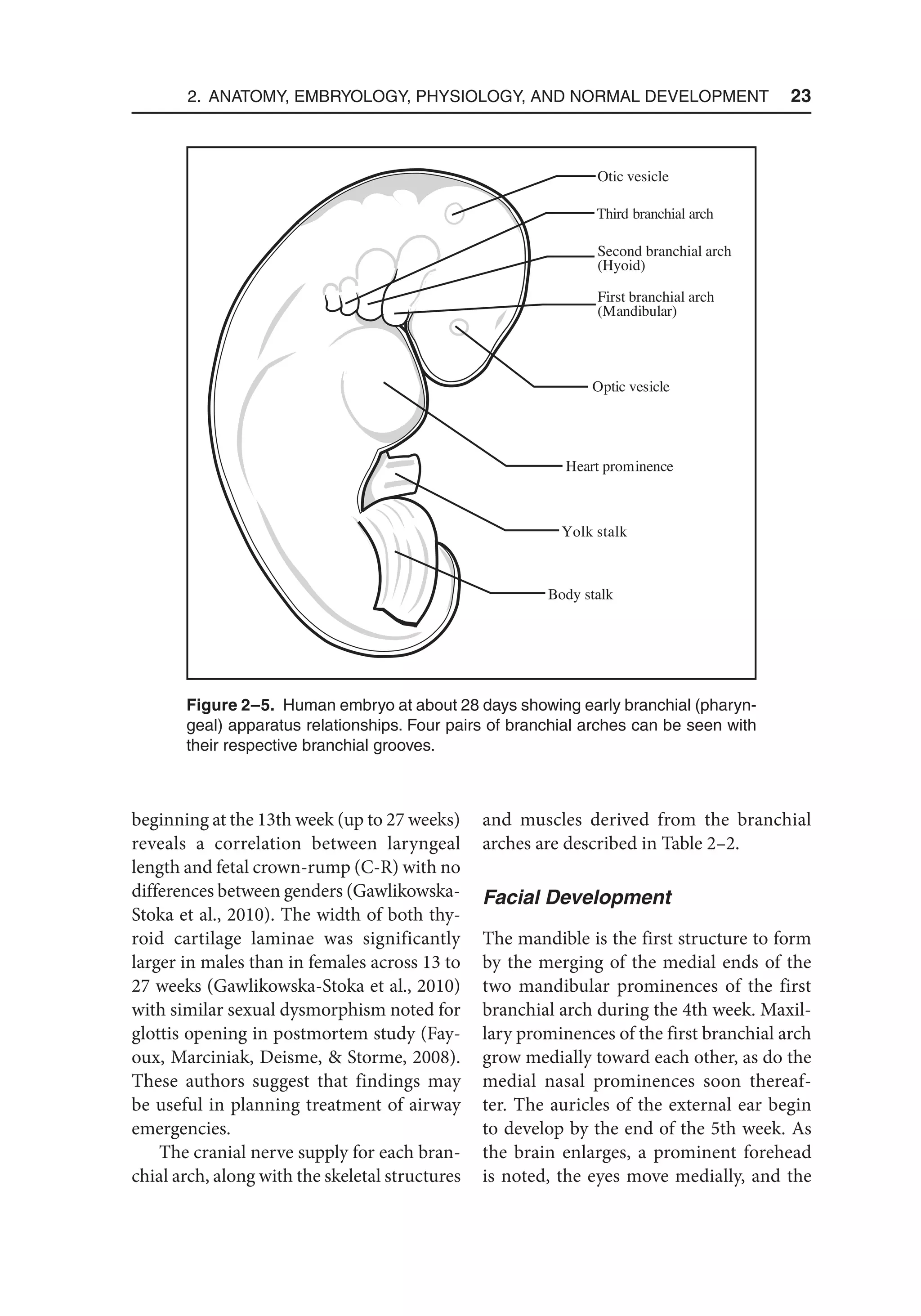 Pediatric_Swallowing_and_Feeding_Assessment_and_Management,_Third.pdf