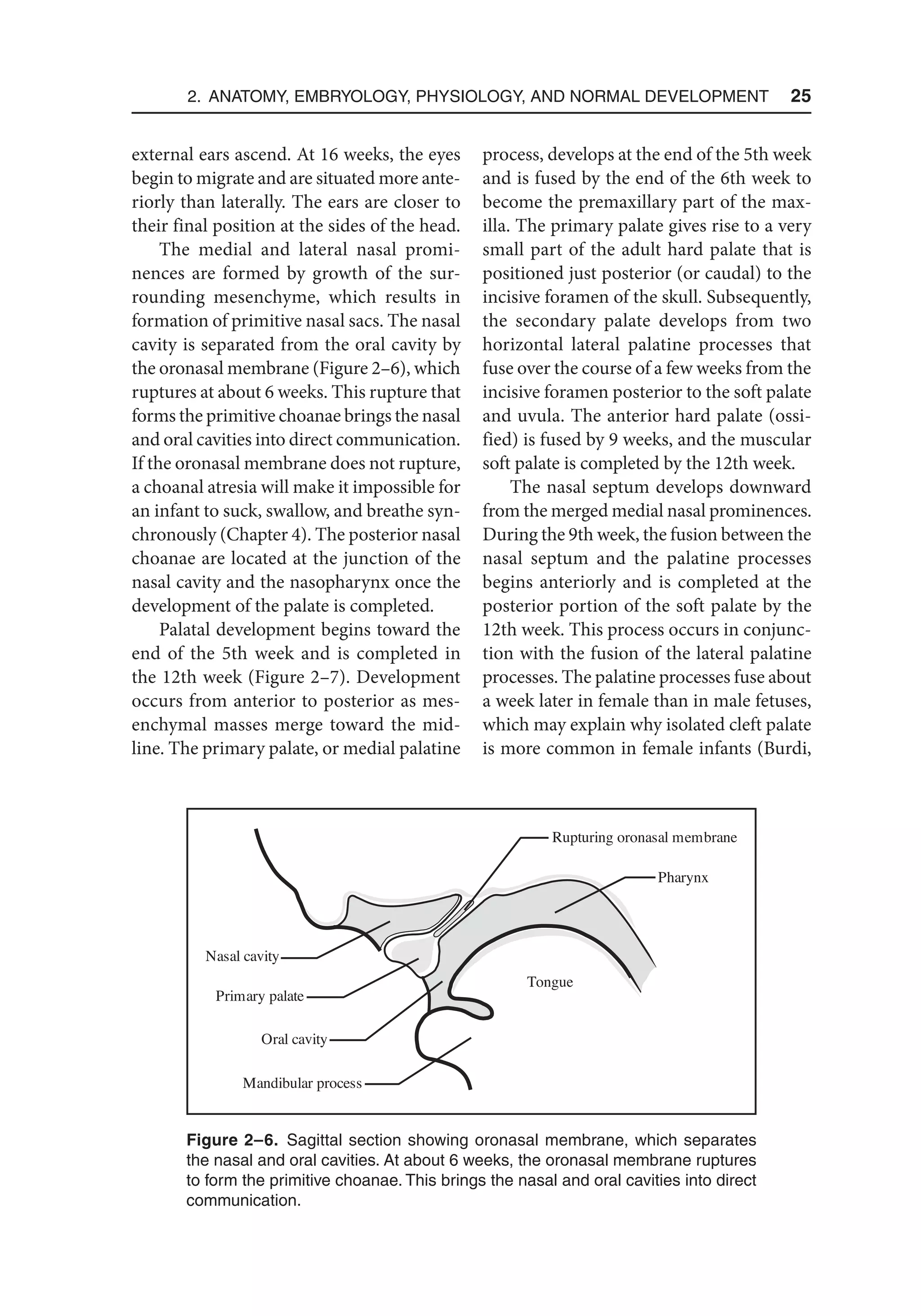 Pediatric_Swallowing_and_Feeding_Assessment_and_Management,_Third.pdf