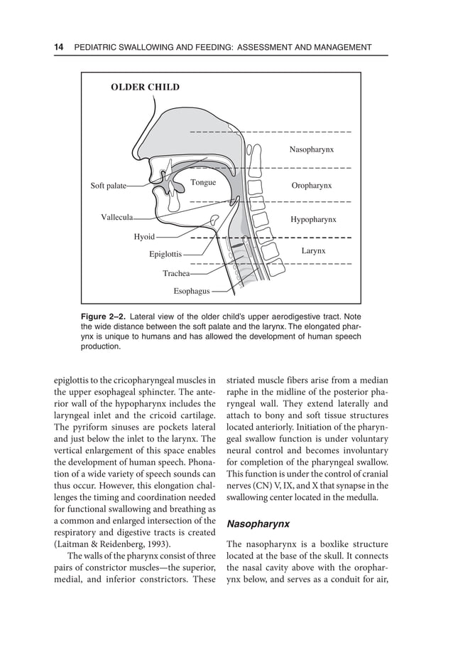 Pediatric_Swallowing_and_Feeding_Assessment_and_Management,_Third.pdf ...