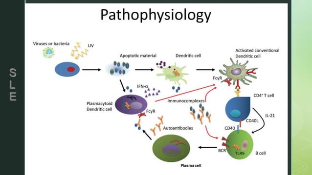 Pediatric systemic lupus erythematosus