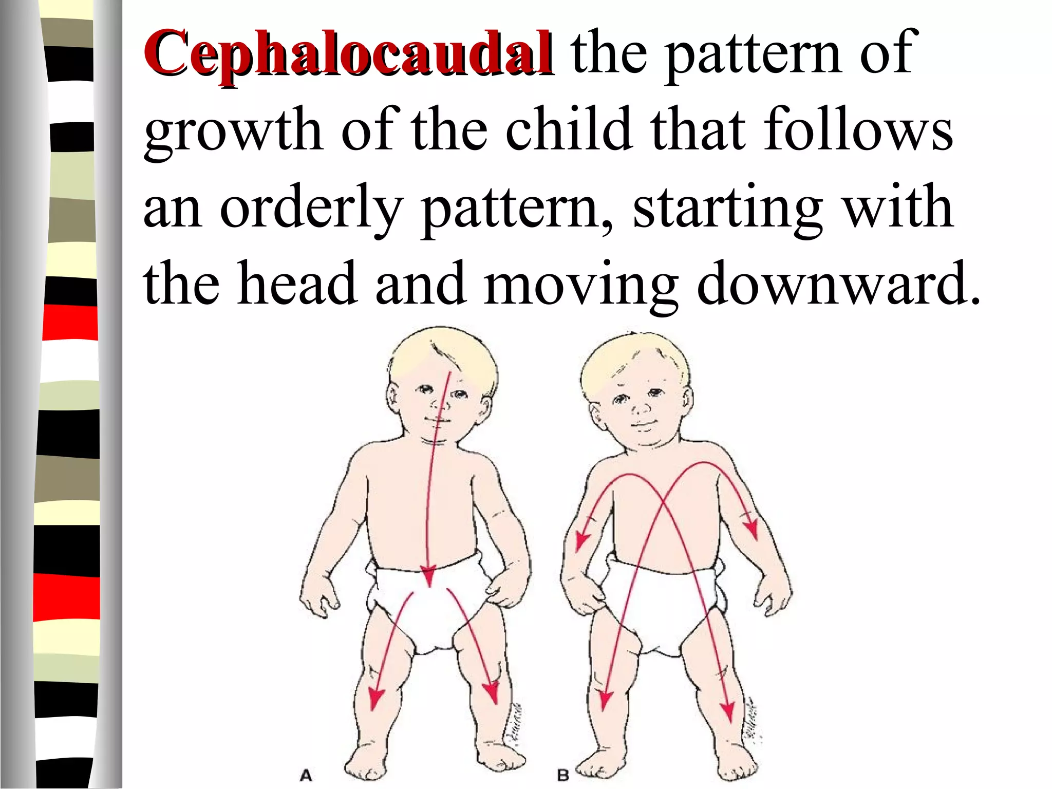 Pediatric terminology | PPT