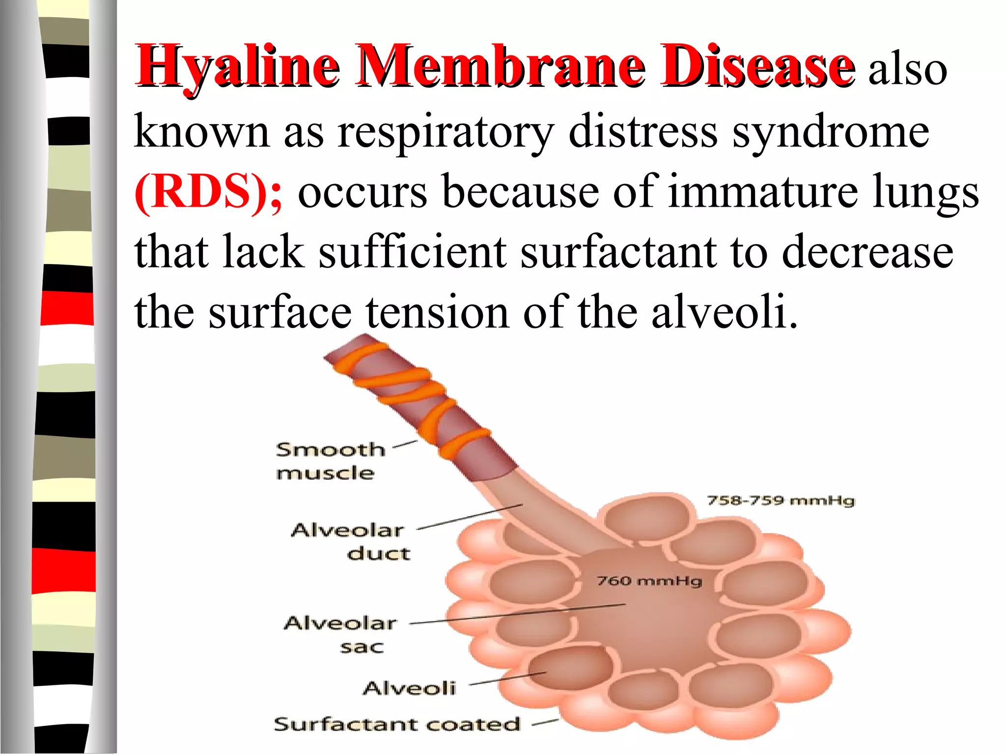 Pediatric terminology | PPT