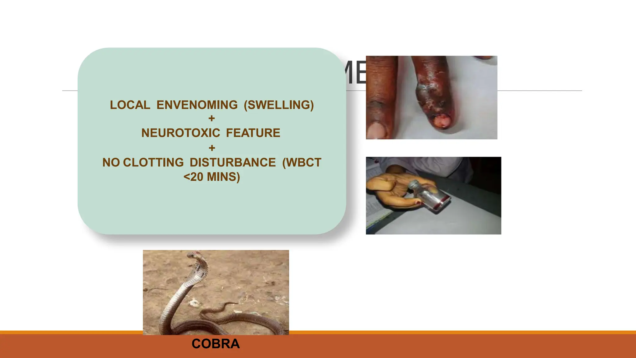 pediatric toxicology undergraduate and post graduate | PPTX