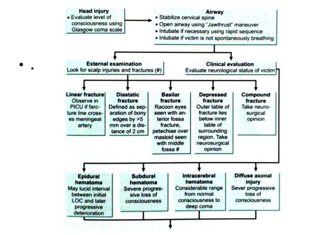 Pediatric Trauma - Concepts & Management | PPTX | First Aid | Injuries